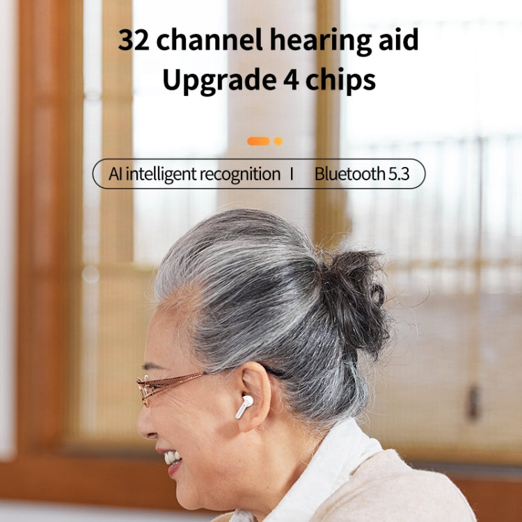 Bluetooth 5.3 In-ear AI Smart Recognition Hearing Aid(Black) – Maverick ...