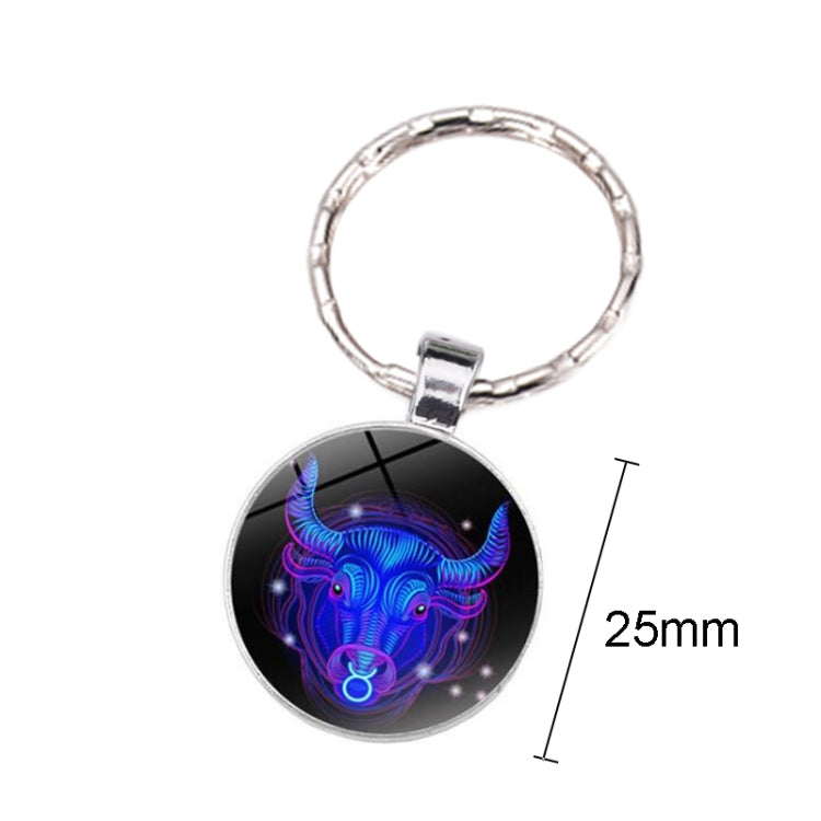 Zodiac Sign Keychain 12 Constellation Pendant Single Face Keyring ...