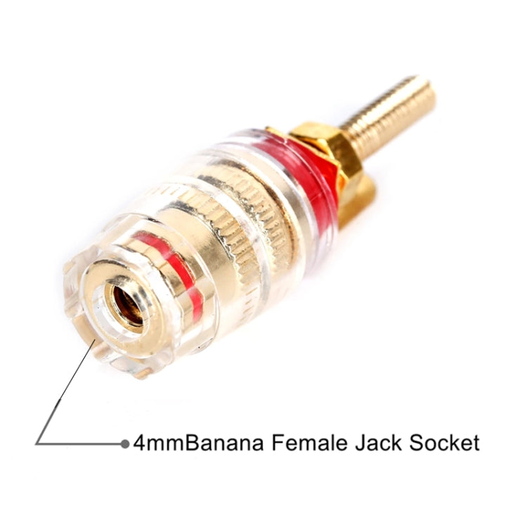 Medium Extended Transparent Terminal Block 4mm Banana Socket Audio Amp ...